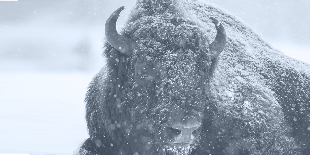 Texas Winter Storm 2024 Updates - Southern Federal Power